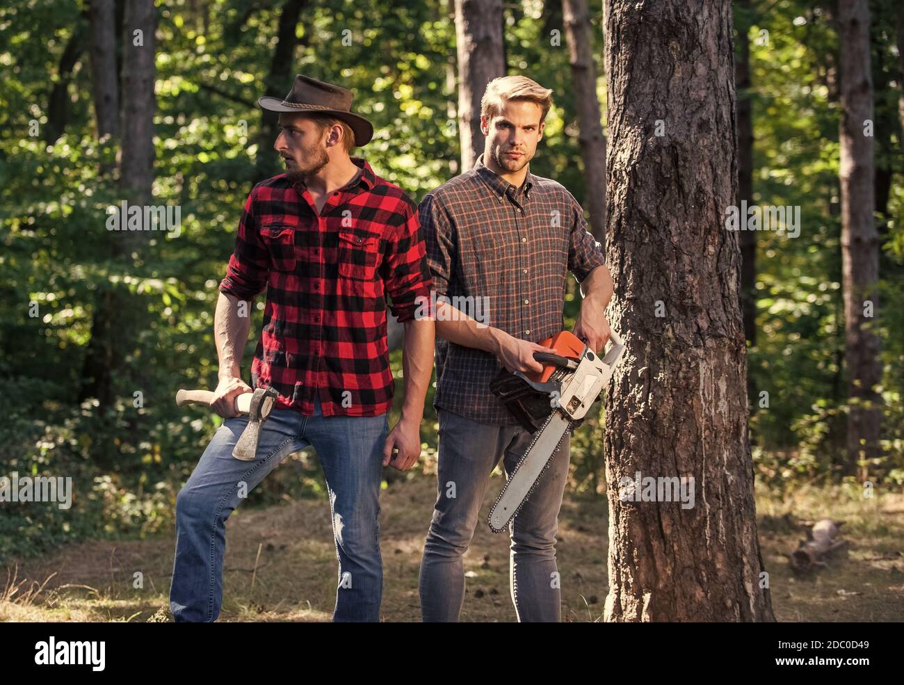 poachers in forest. deforestation. ranger or poach. man forester use ...