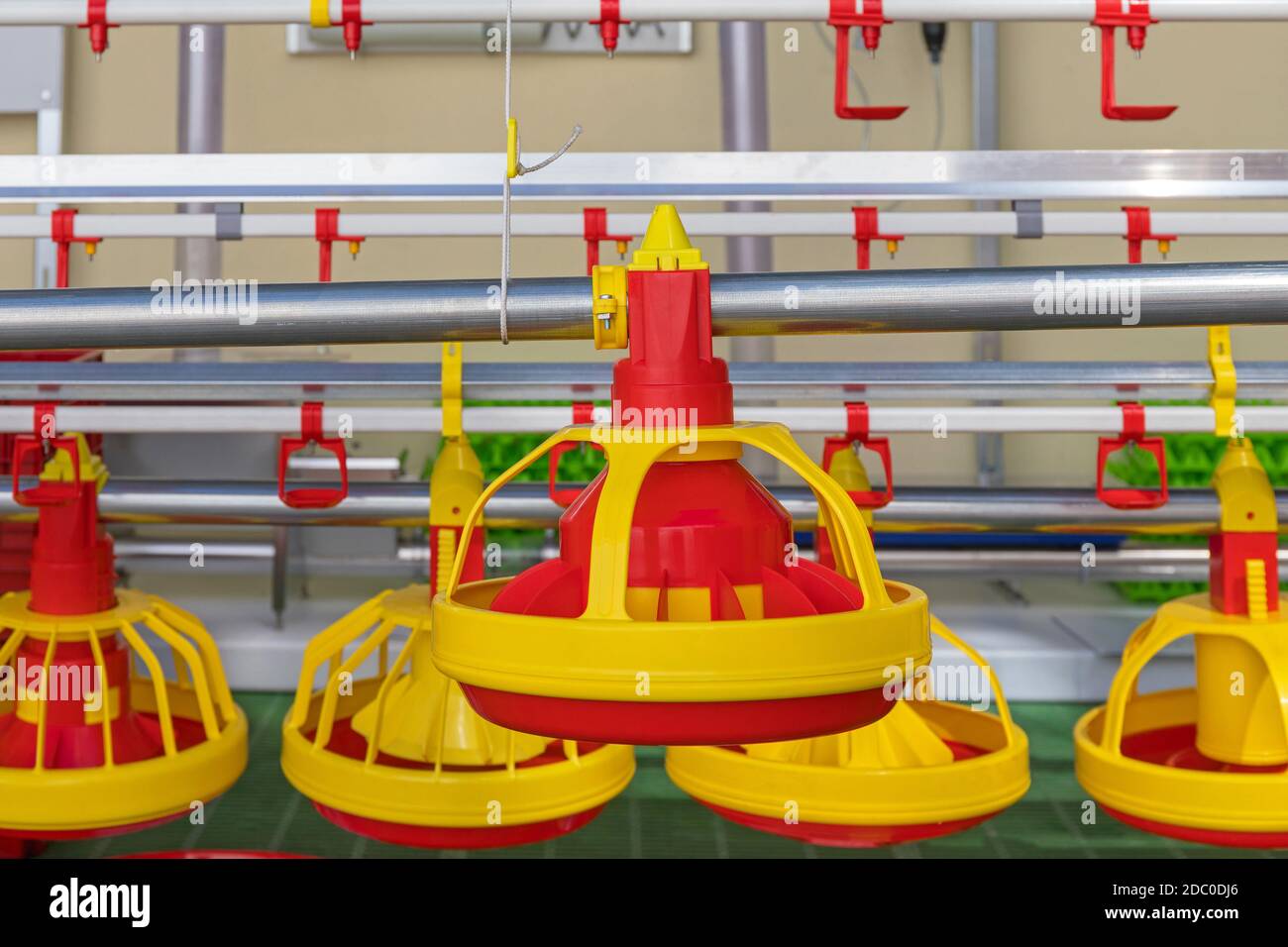 Plastic Hopper Chicken Feeder for Poultry Farm Stock Photo - Alamy