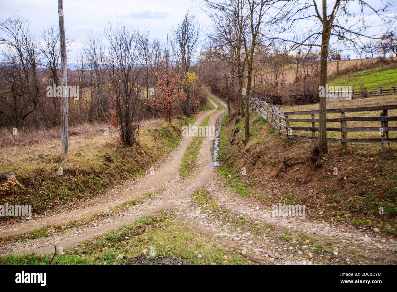 Rural road with beautiful nature landscape at autumn day Stock Photo ...