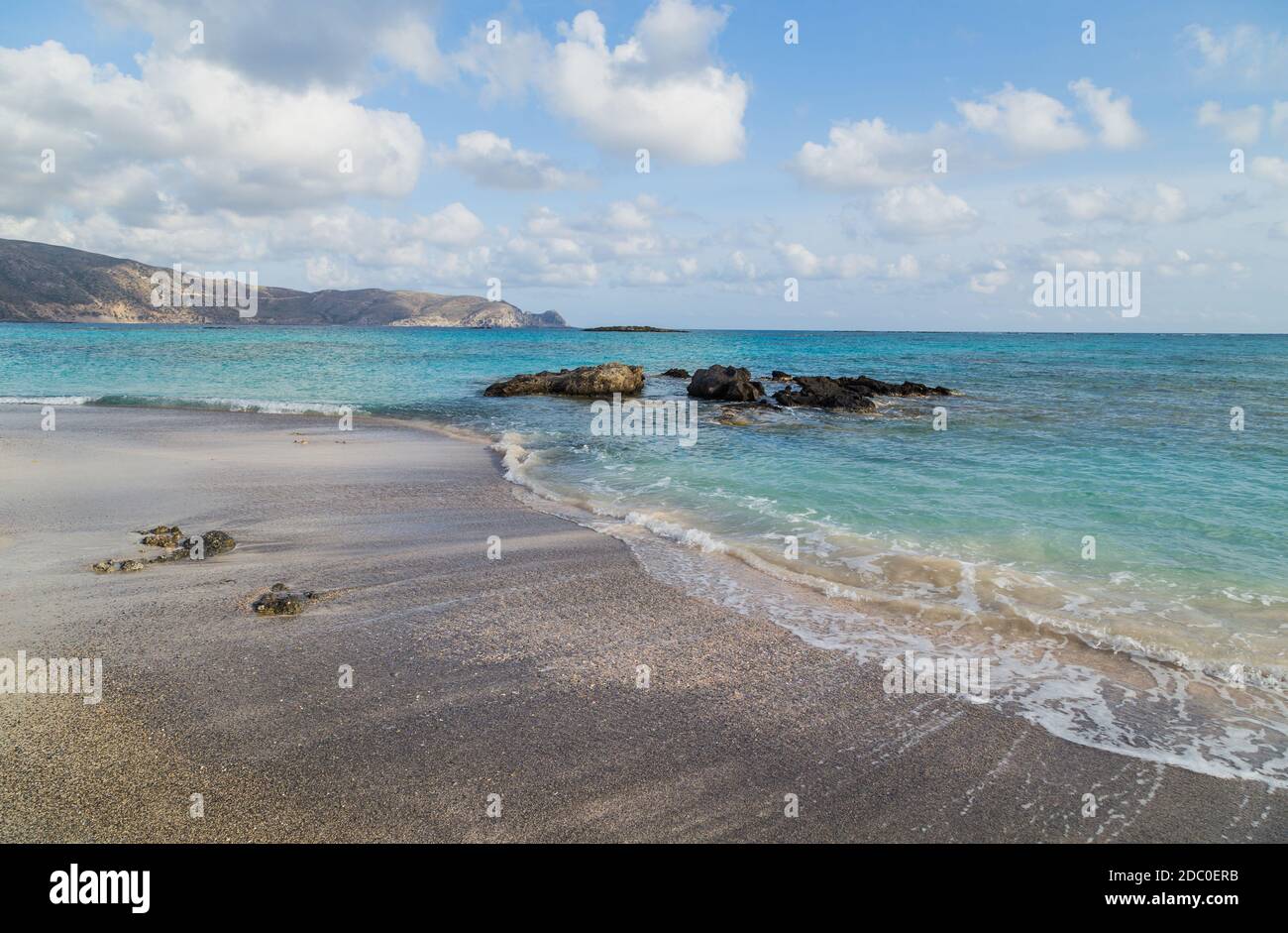 Elafonisi beach rose crete hi-res stock photography and images - Alamy