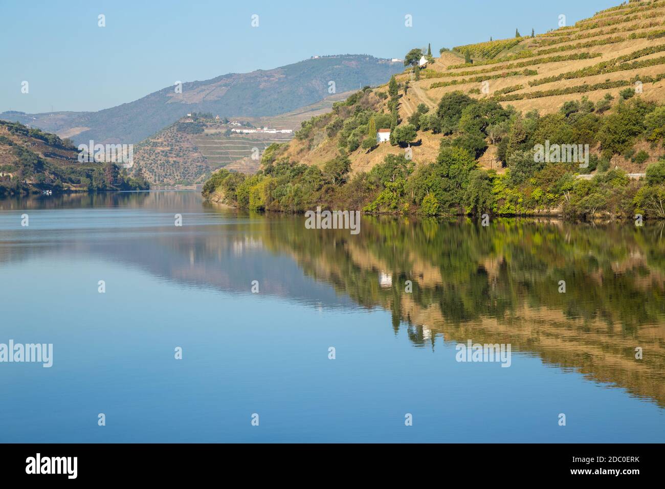 Portugal terraces tua douro valley hi-res stock photography and images ...