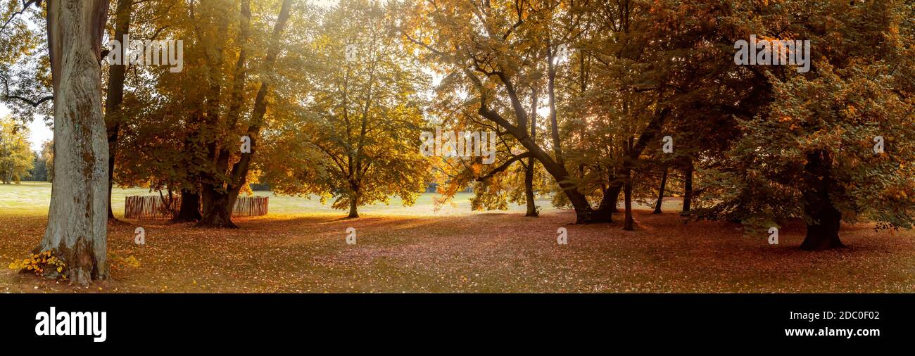Panorama from beautiful autumn scenic in october in public park in ...