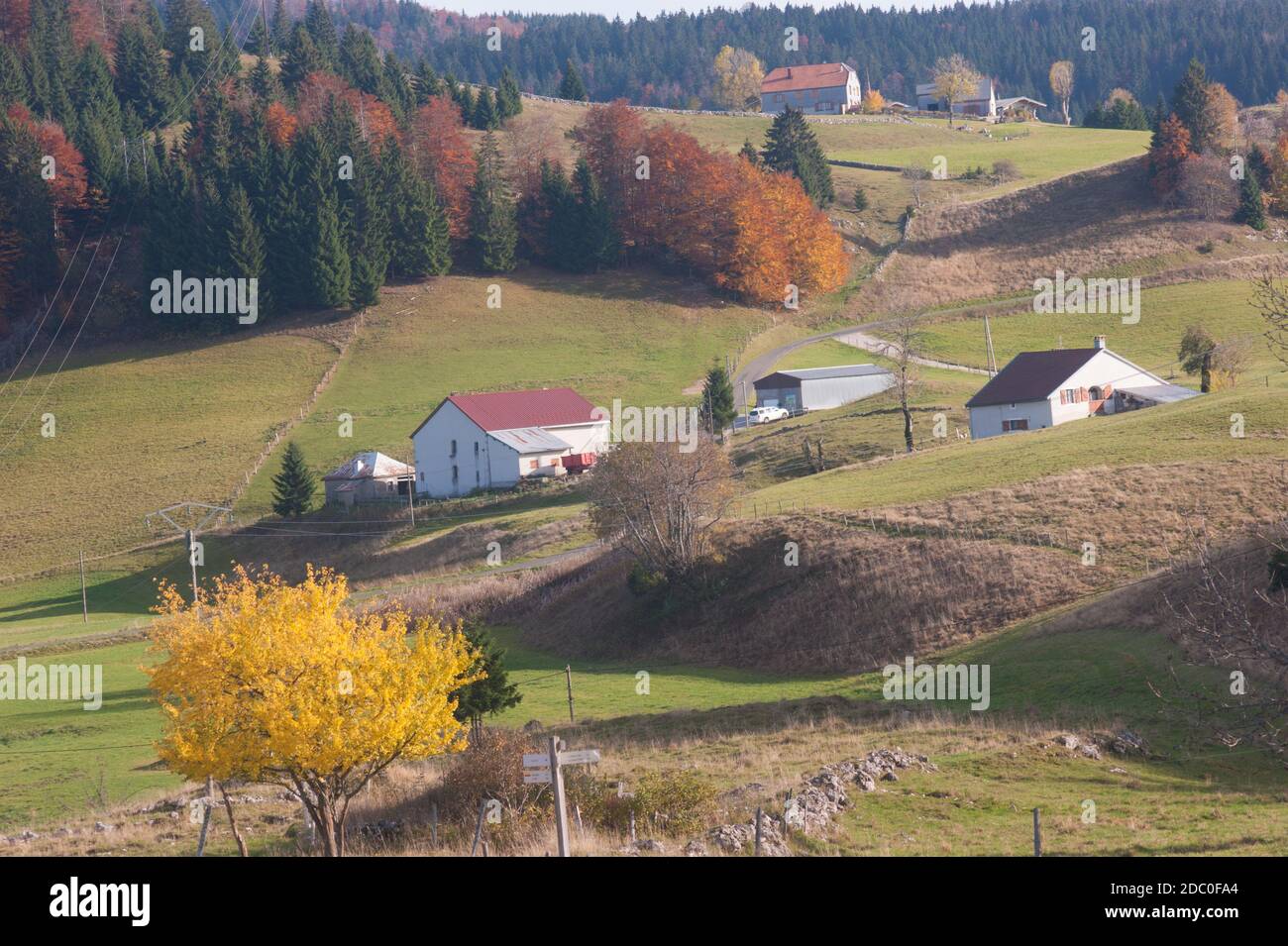 La pesse hi-res stock photography and images - Alamy