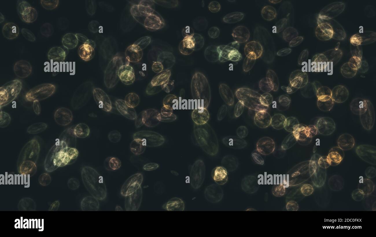 bacteria microorganisms microscope close up, illustration render Stock ...