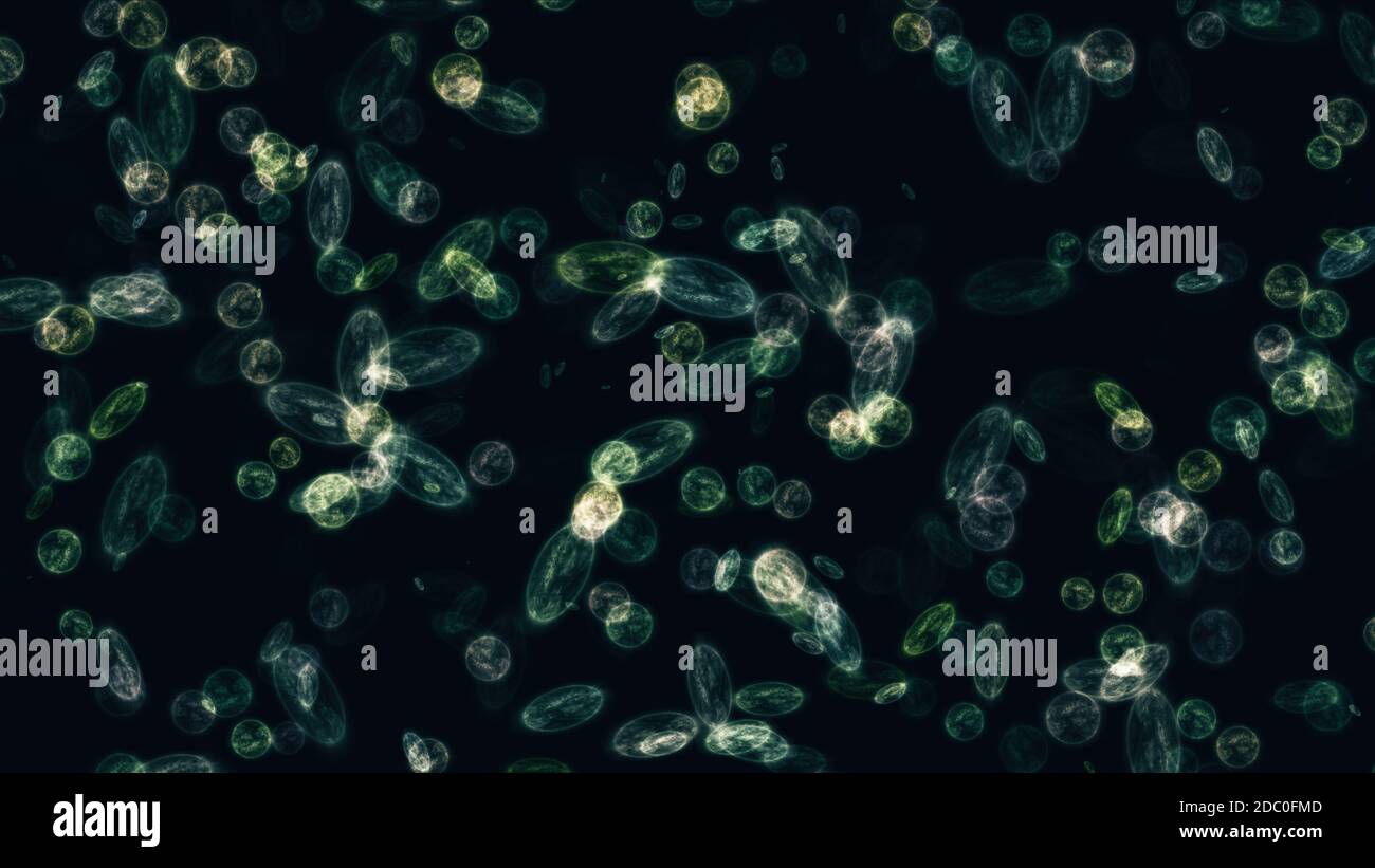 bacteria microorganisms microscope close up, illustration render Stock ...