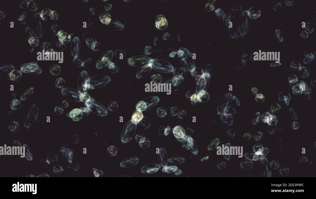 bacteria microorganisms microscope close up, illustration render Stock ...