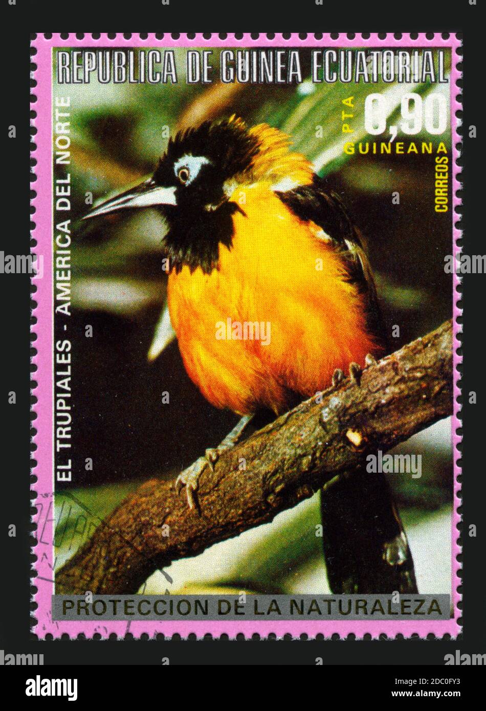 Equatorial Birds High Resolution Stock Photography and Images - Alamy