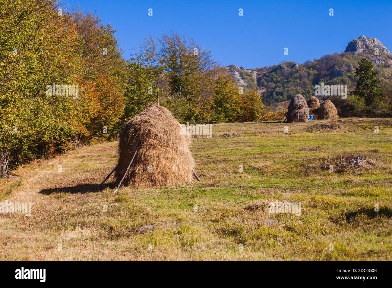 Rural autumn landscape. Traditional haystack in the fields. Beautiful ...