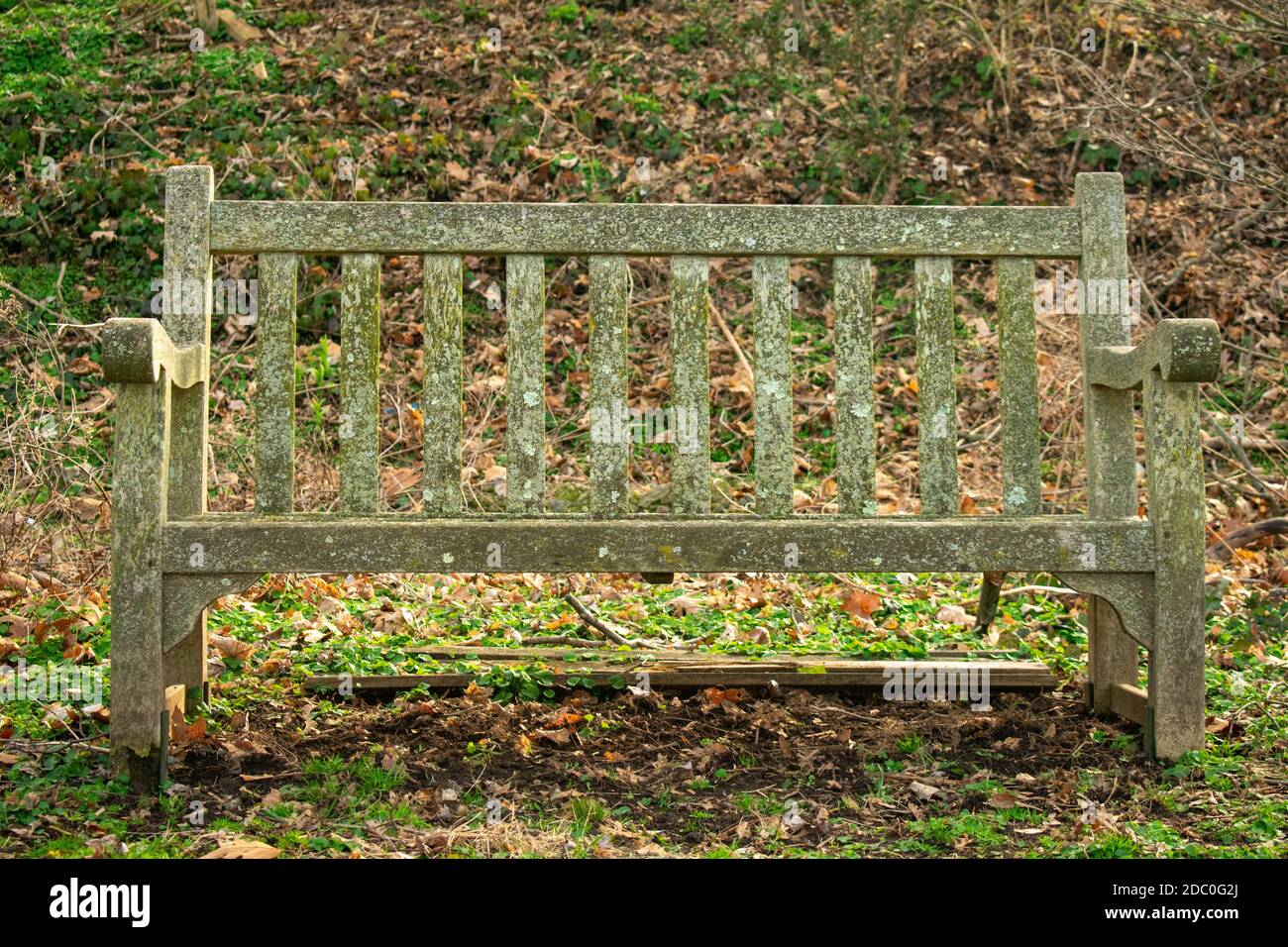 An Old Wooden Park Bench Covered in Moss in a Suburban Park in ...