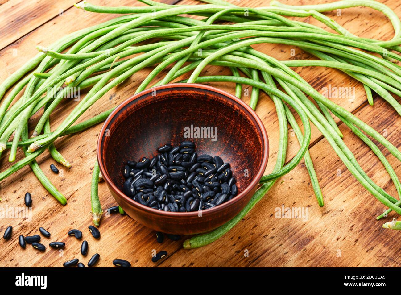 Vigna or cowpea pods and beans.Vegetable plant.Popular Chinese food ...