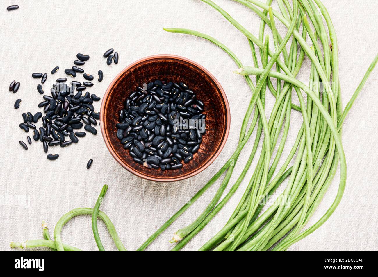 Vigna or cowpea pods and beans.Vegetable plant.Popular Chinese food ...