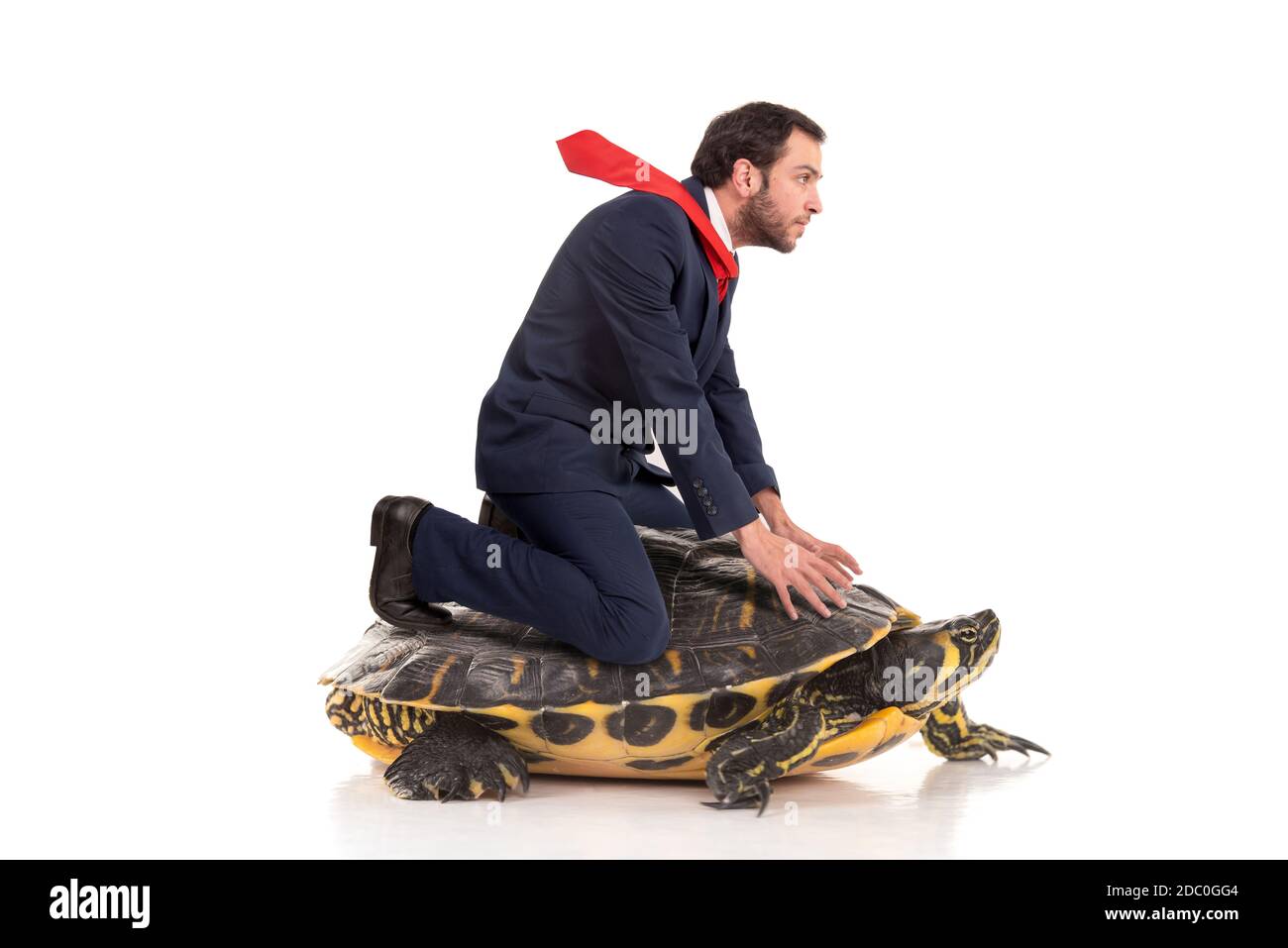 Businessman riding a turtle isolated in a white background Stock Photo ...