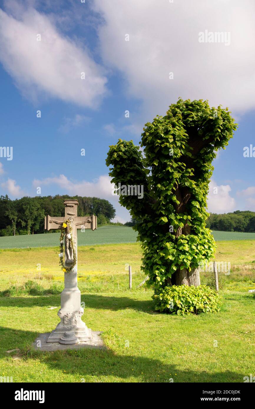 Wayside cross near Terborgh castle in the Dutch village Schinnen in the ...