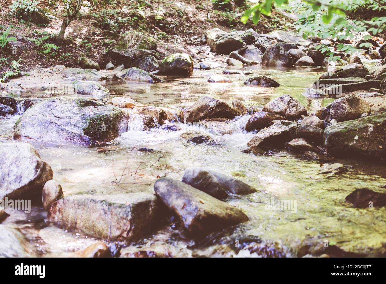 Beautiful Forest Landscape, Stream Flowing Water, Mountain Creek ...