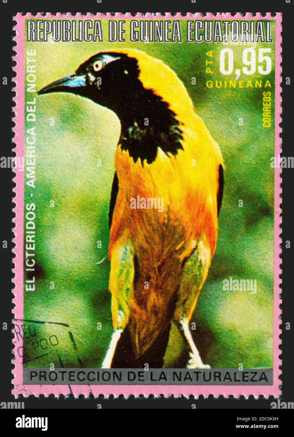 Equatorial birds hi-res stock photography and images - Alamy