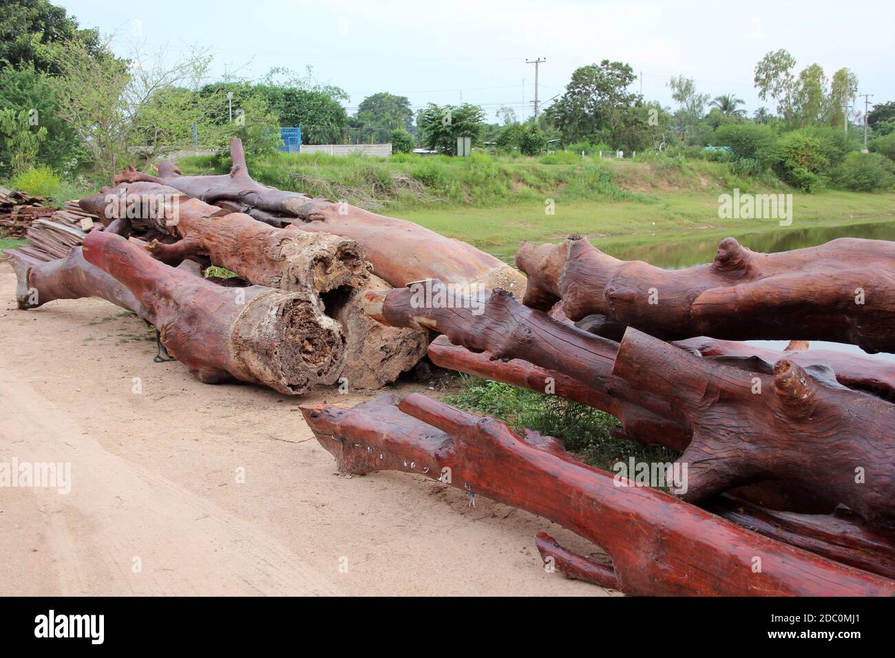 A large log for a residence Stock Photo - Alamy