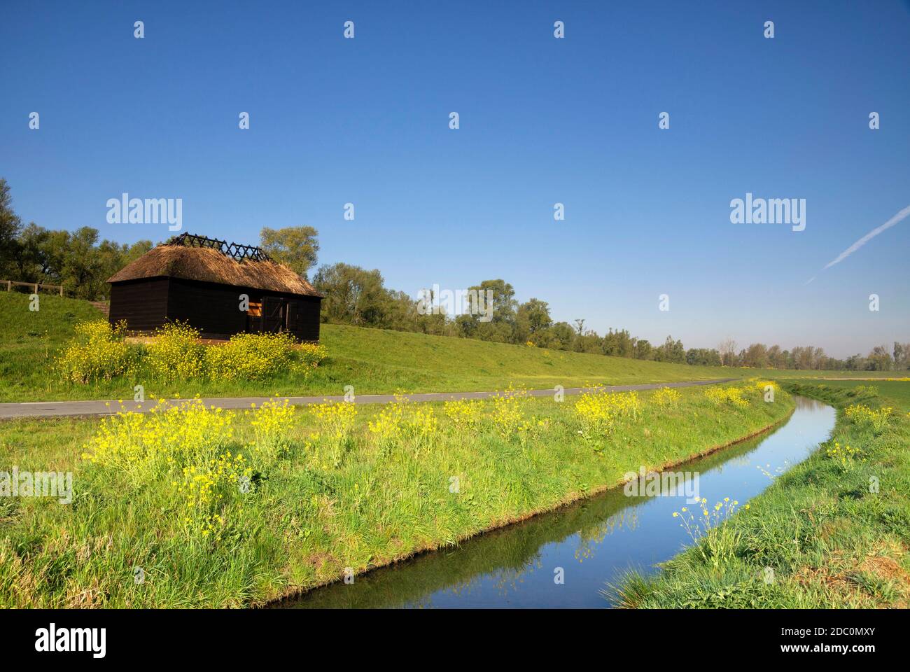Ditch in a green grassy meadow near Hank in the Dutch national park De ...