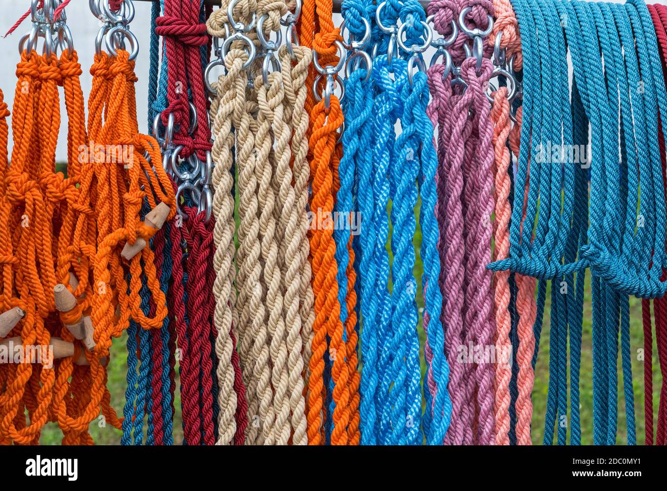 Variety of horses hi-res stock photography and images - Alamy