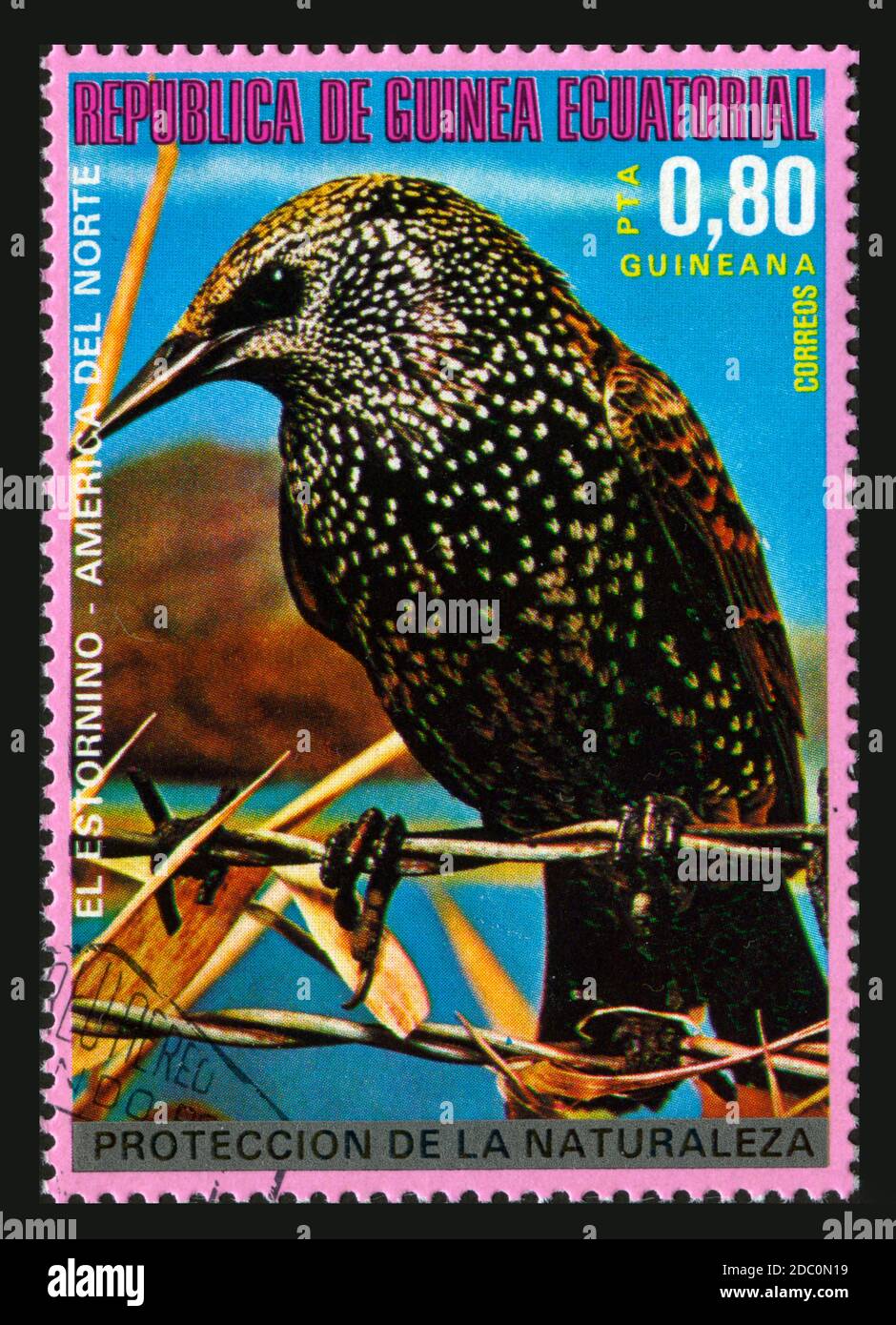 Stamp print in Equatorial Guinea,birds,The Starling Stock Photo - Alamy