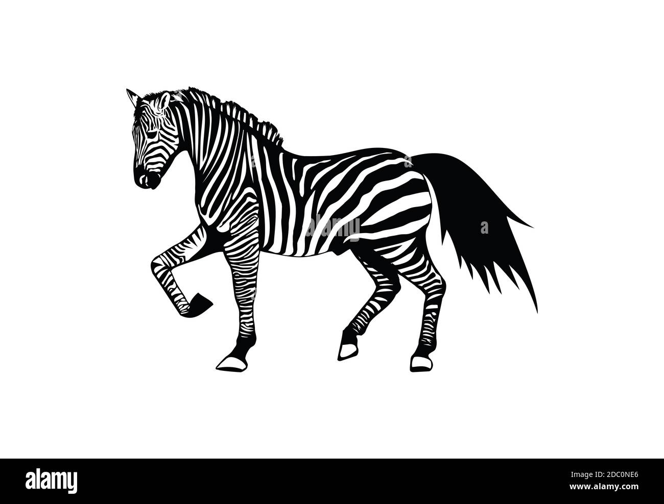 Zebra logos hi-res stock photography and images - Alamy