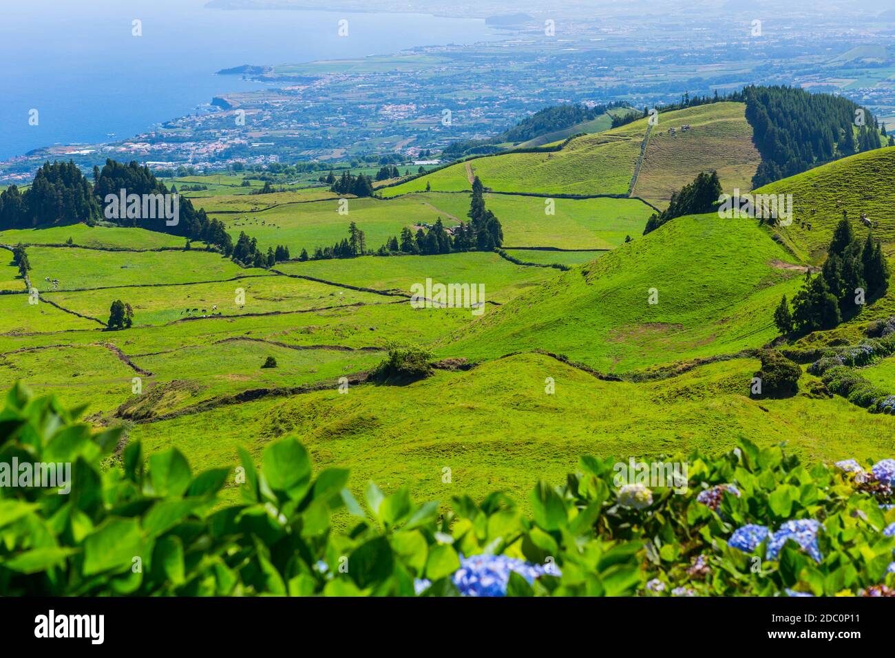 Beautiful landscape sceneries in Azores Portugal. Tropical nature in ...