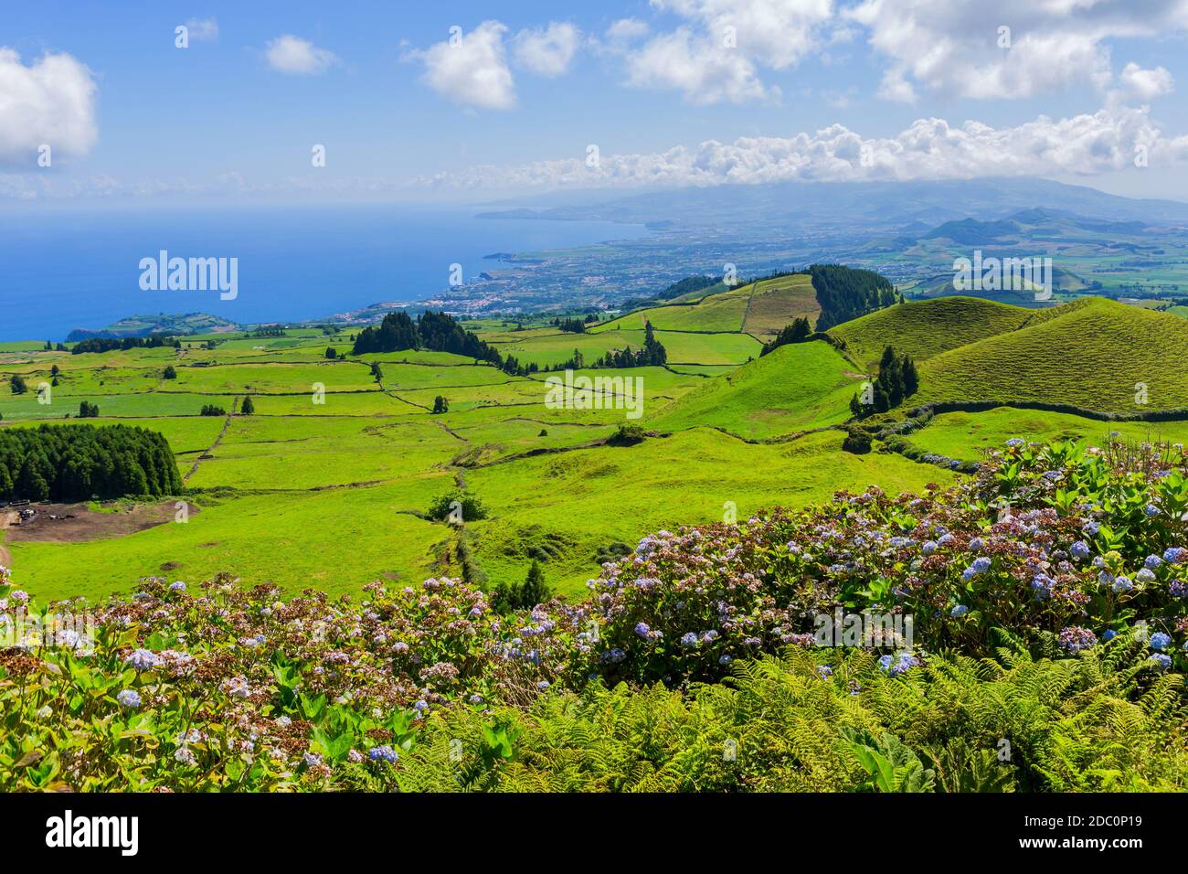Beautiful landscape sceneries in Azores Portugal. Tropical nature in ...