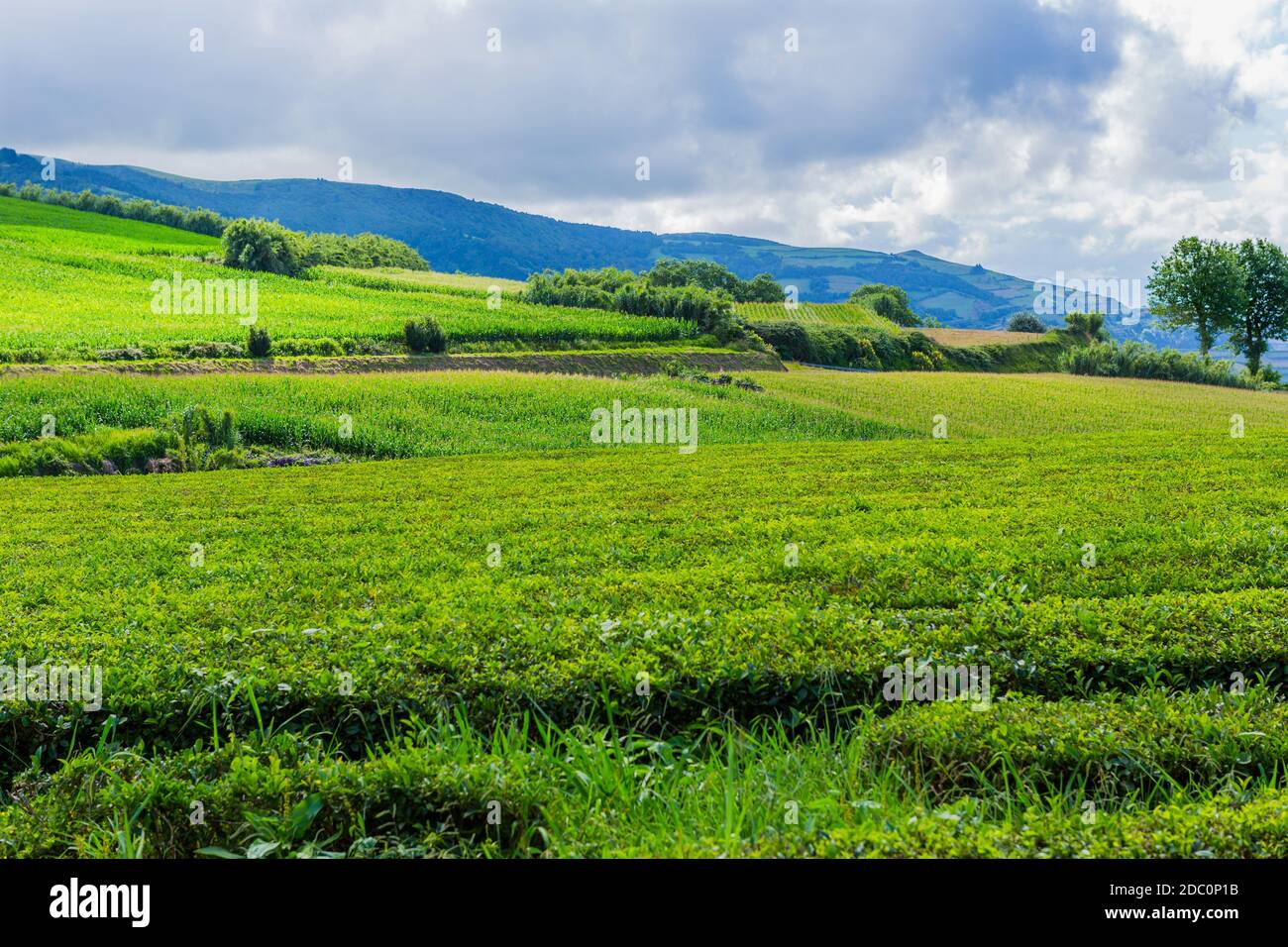 Agriculture In Portugal High Resolution Stock Photography and Images ...