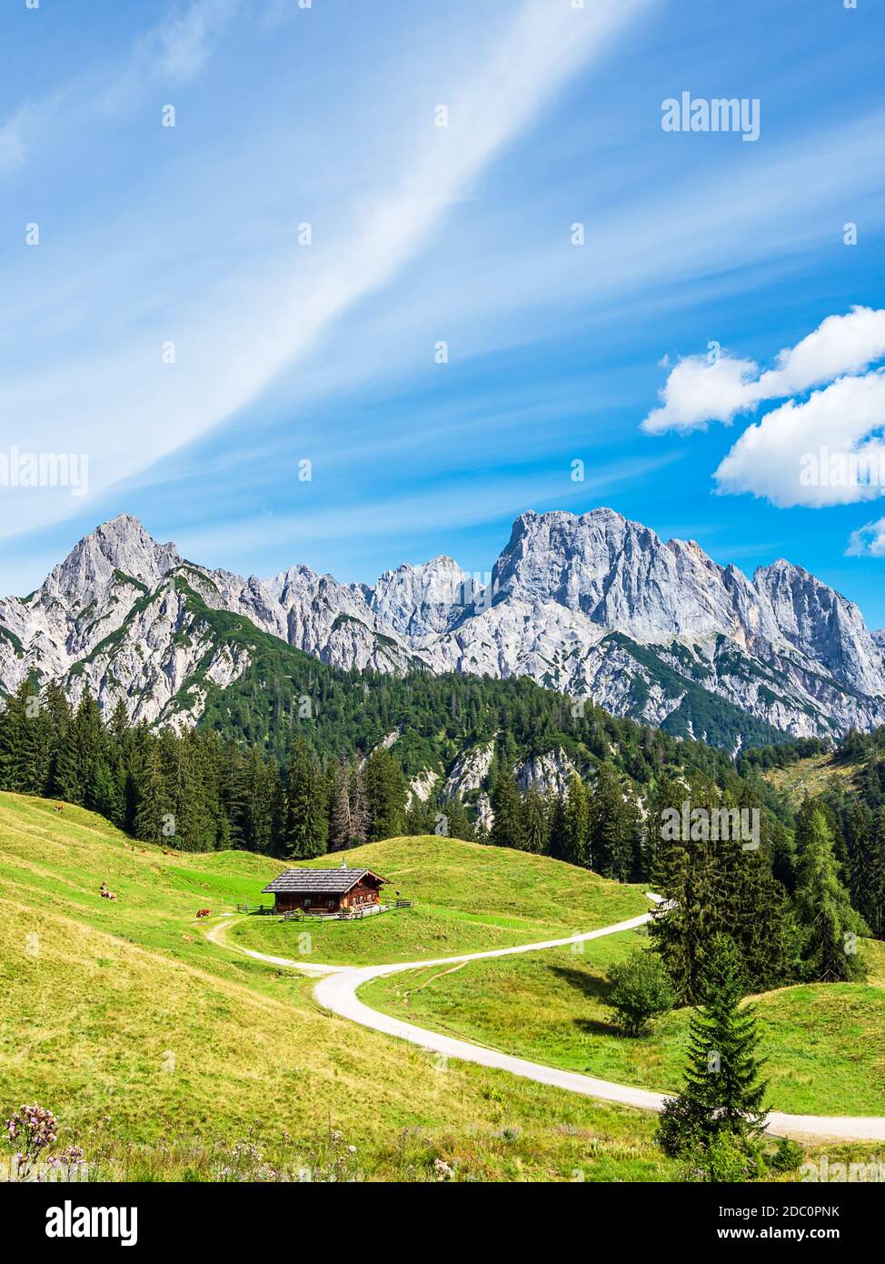 View to the mountain pasture Litzlalm in the Alps, Austria Stock Photo ...