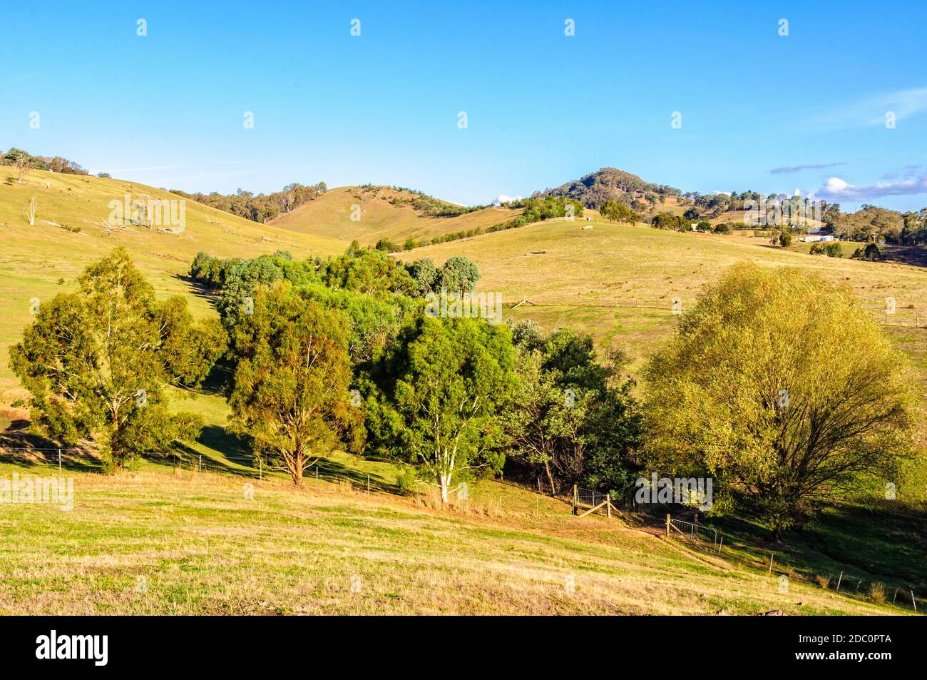 Rural area at the foothills of the Victorian Alps - Mansfield, Victoria ...