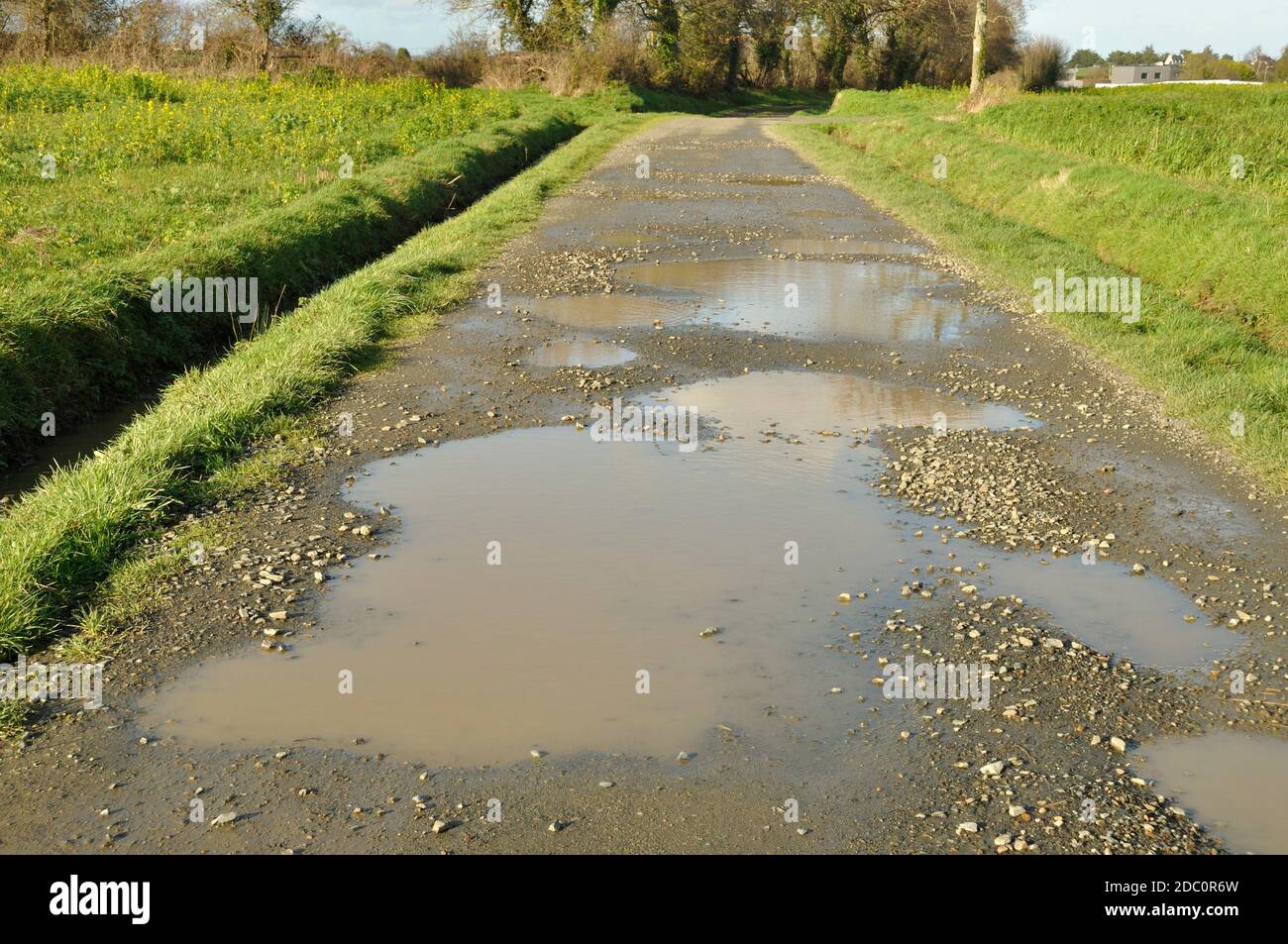 A flooded country lane in Brittany Stock Photo - Alamy