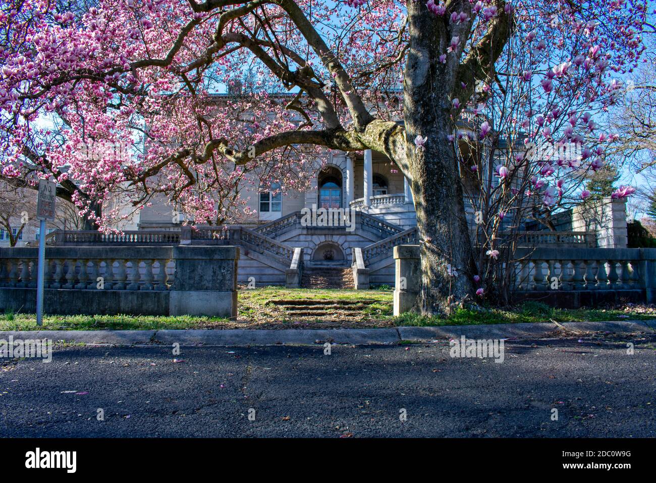 An Intricate Courtyard With A Cherry Blossom Tree in Front of it at ...