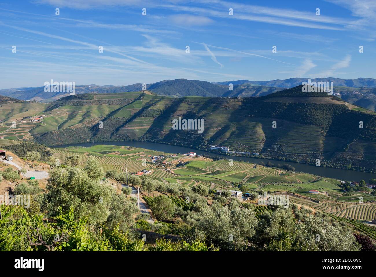 Douro Valley. Vineyards landscape of the Porto wine, near Pinhao ...
