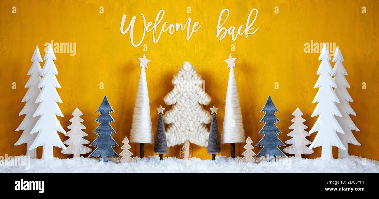 Welcome Back Snow