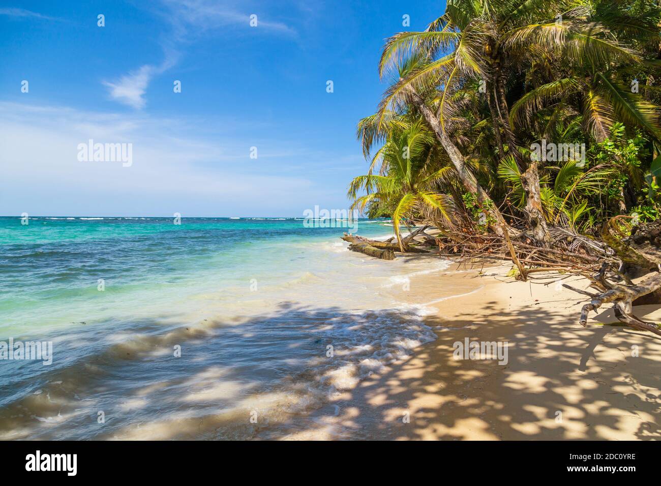 Tropical ocean beach with trees in Panama Stock Photo - Alamy
