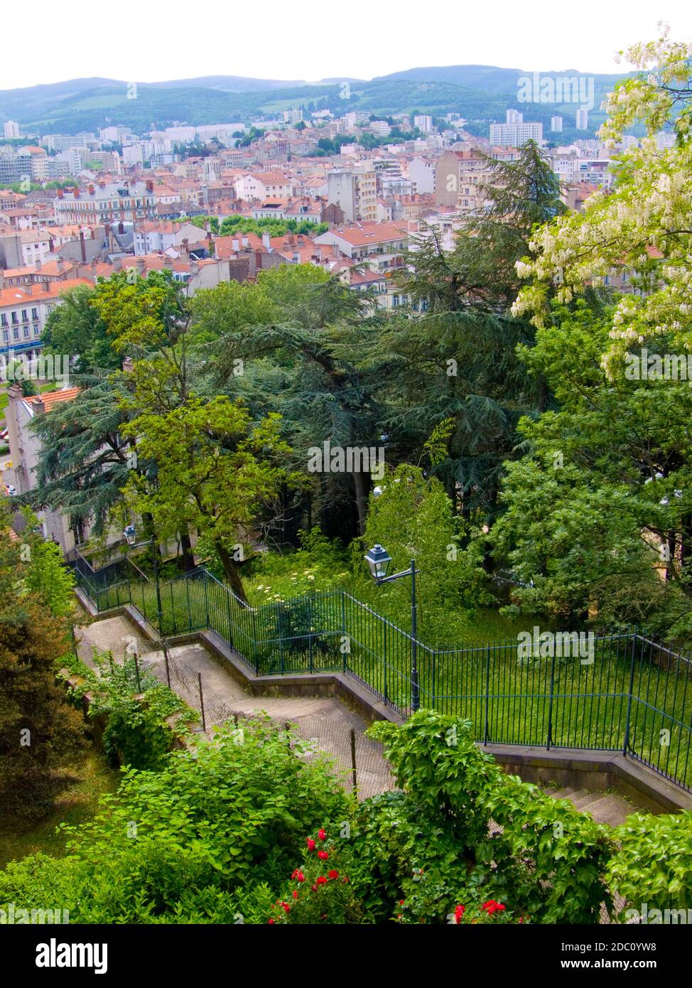Building city acacia tree hi-res stock photography and images - Alamy