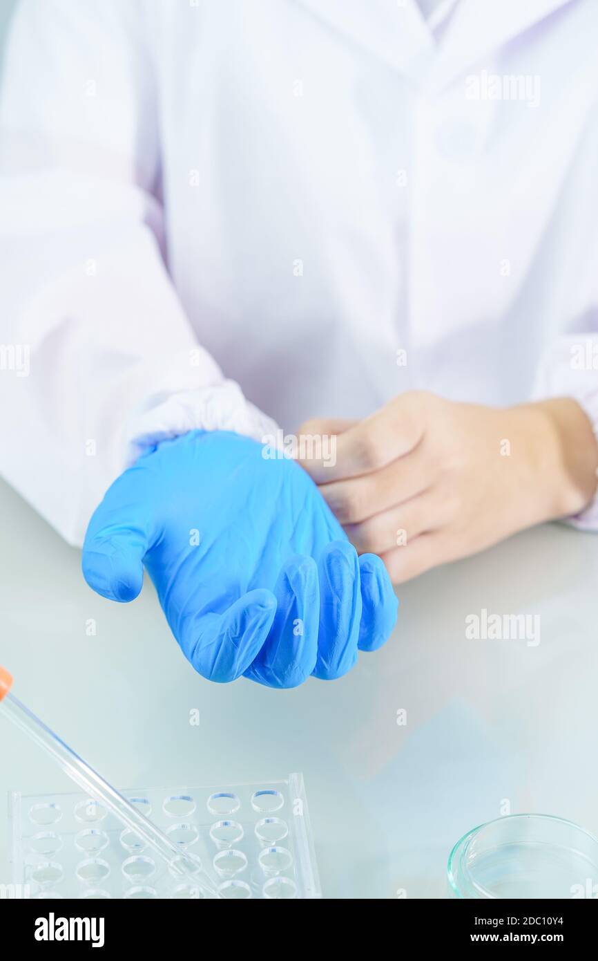 Close up Scientist hands putting in nitrile blue latex gloves in ...