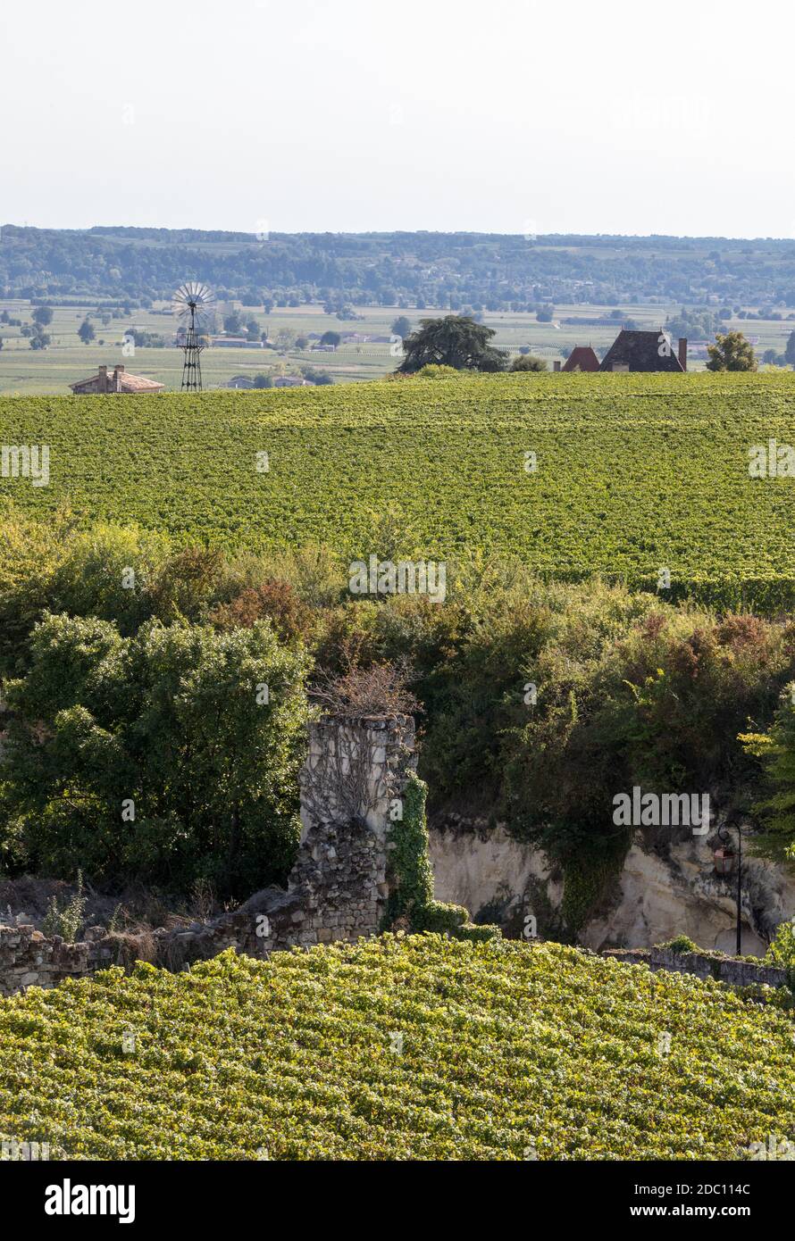 Famous French Vineyards at Saint Emilion town near Bordeaux, France. St ...