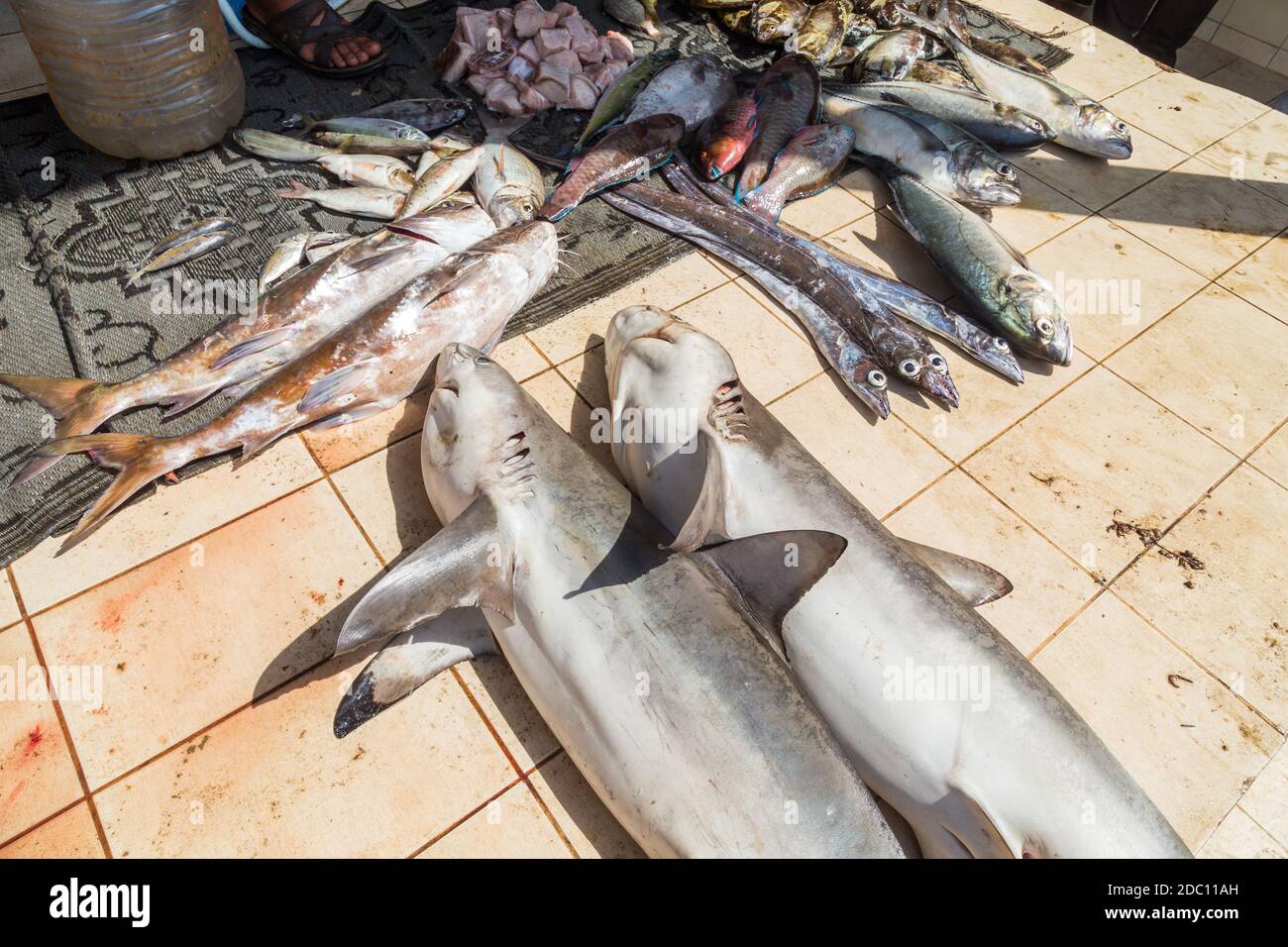 Fish market in Hodeida on Red Sea, Yemen Stock Photo - Alamy