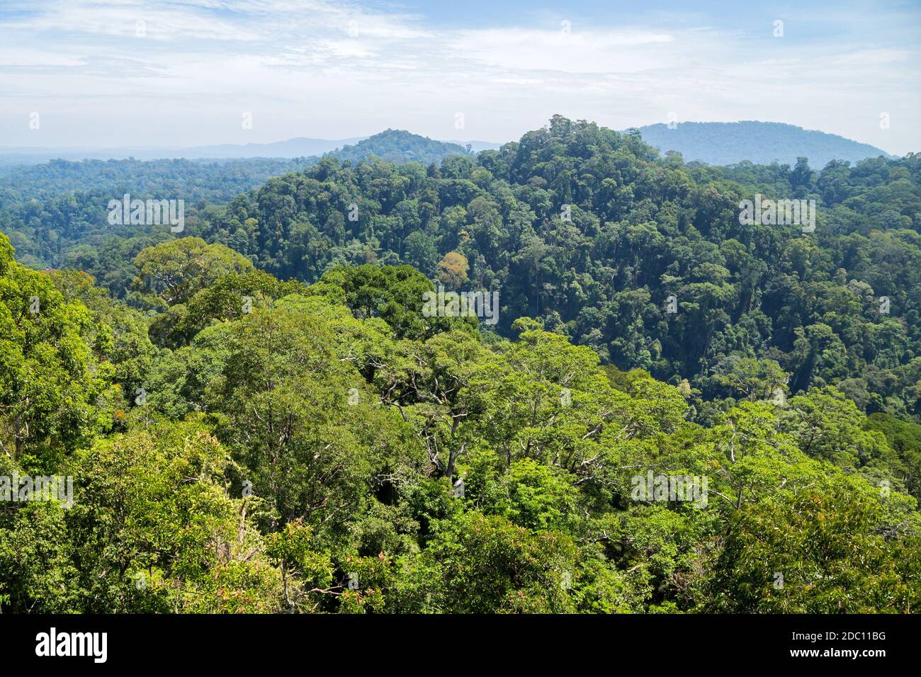 View of Ulu Temburong National Park or fathul park, in Temburong ...