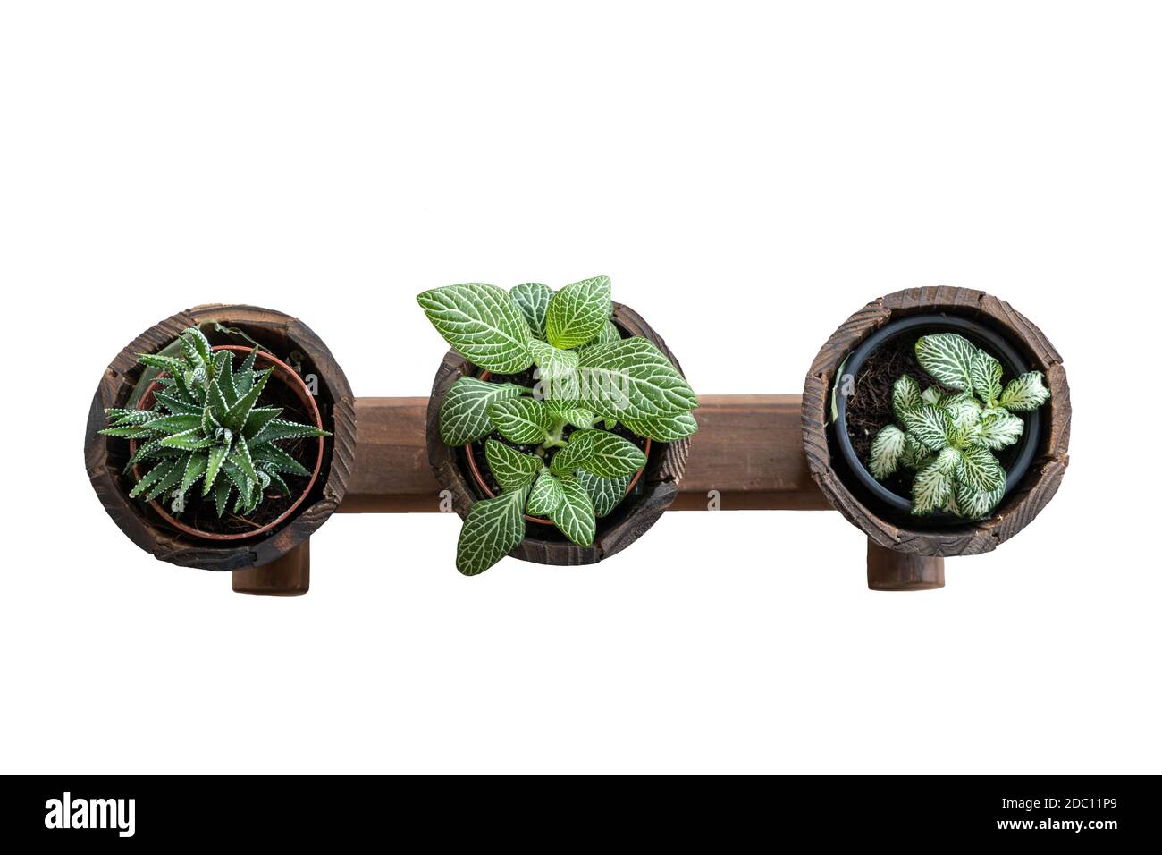 Pots display Cut Out Stock Images & Pictures - Alamy