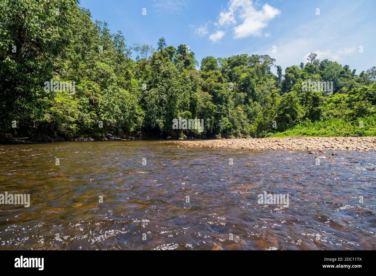 Temburong River, Virgin Rainforest, Ulu Temburong National Park, Brunei ...