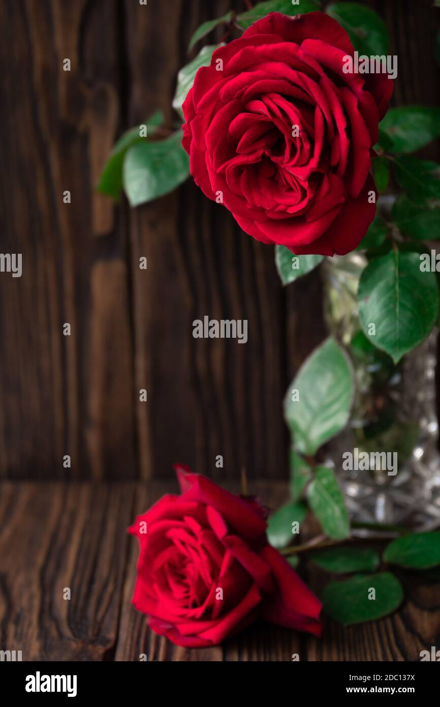 Still life with red roses in the crystal vase on the old brown wooden ...