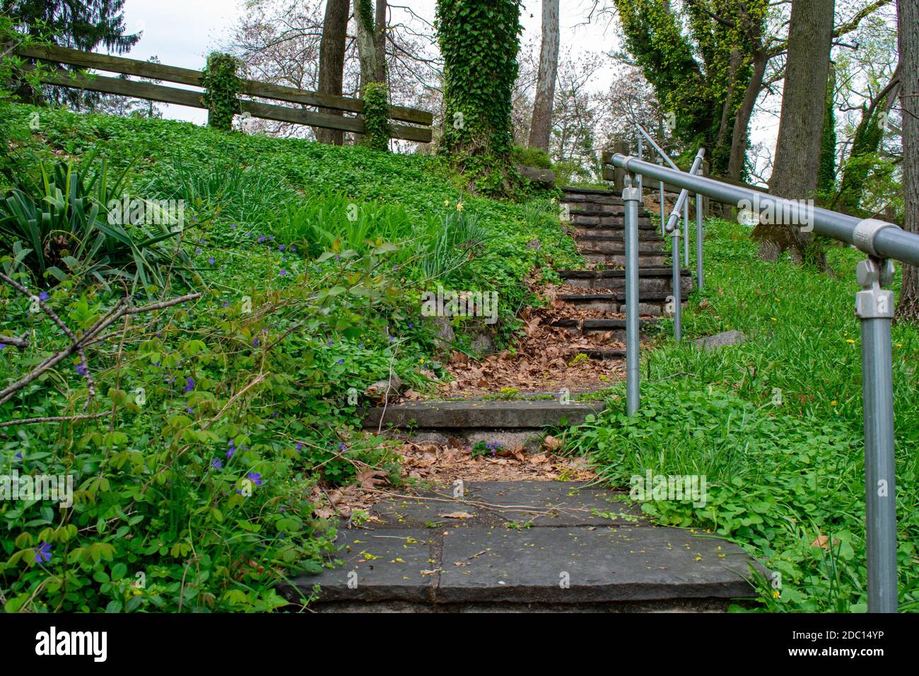 A Stone Path in an Overgrown Park Full of Greenery With a Metal Fence ...