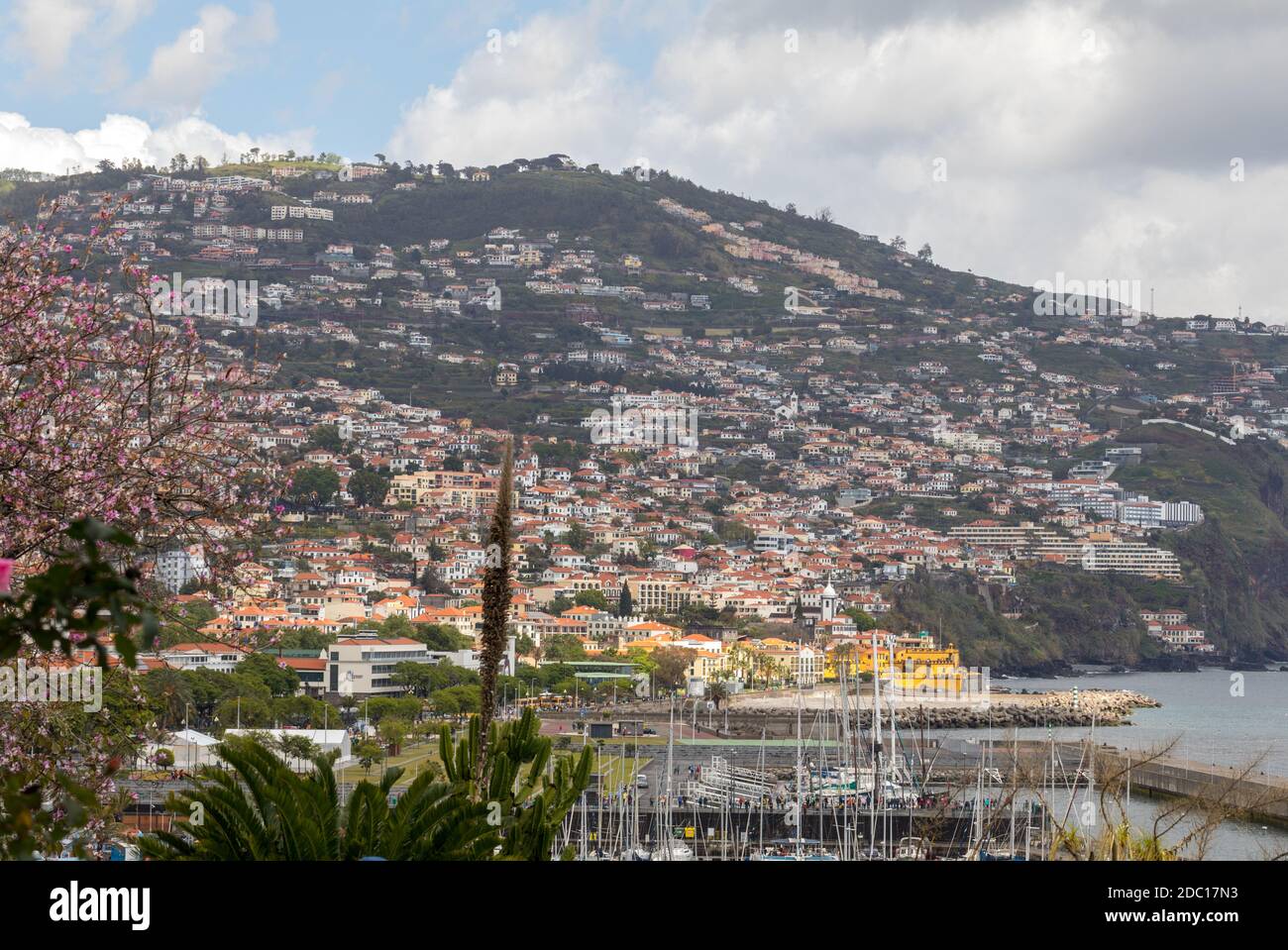 Typical terrace architecture on the steep slopes of Funchal on the ...