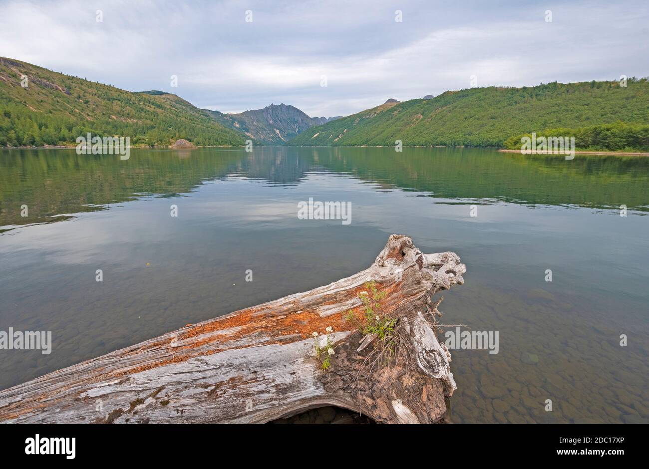 Calm Waters on an Alpine Coldwater Lake in Mount St Helens National ...