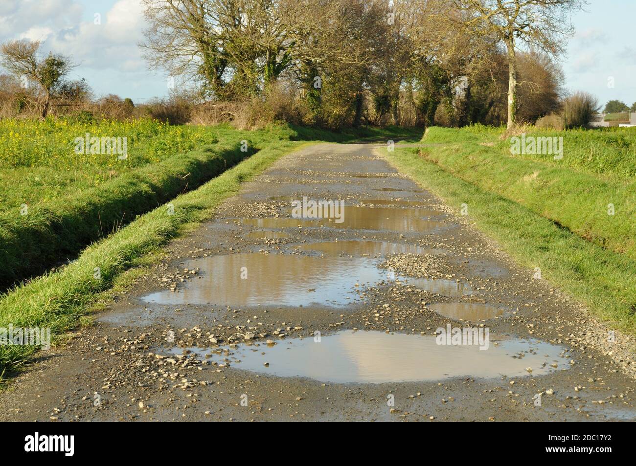 A flooded country lane in Brittany Stock Photo - Alamy