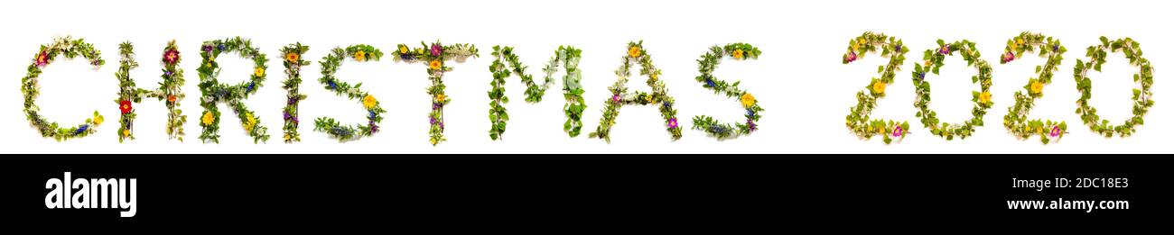 Flower, Branches And Blossom Letter Building English Word Christmas ...
