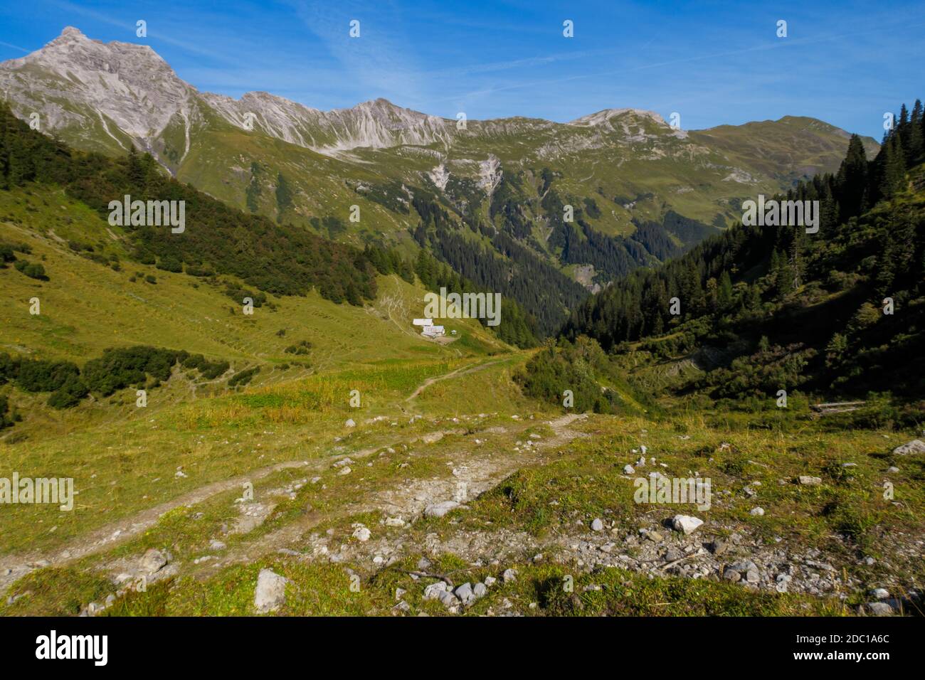 Alm valley austria hi-res stock photography and images - Alamy