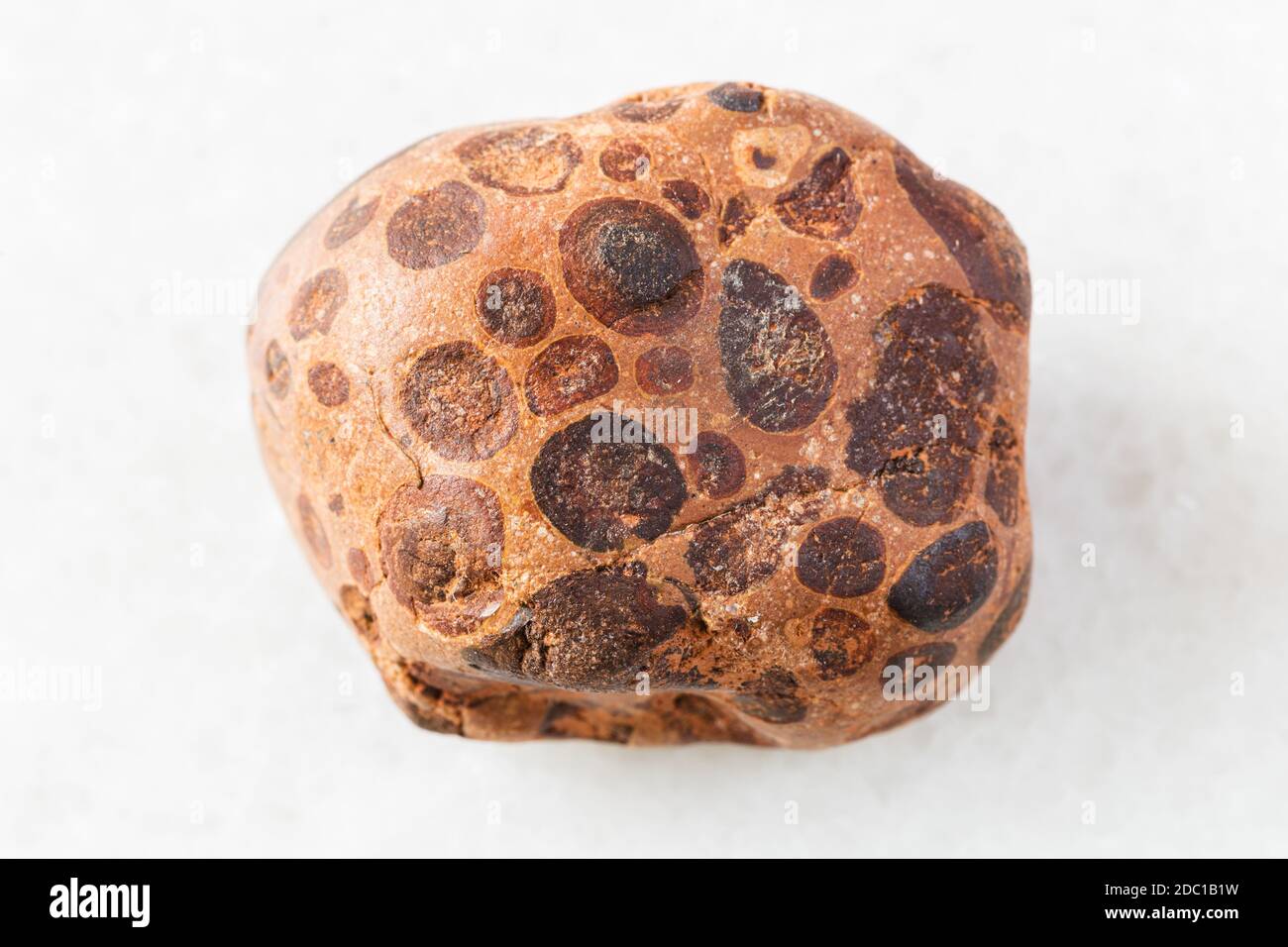 closeup of sample of natural mineral from geological collection ...