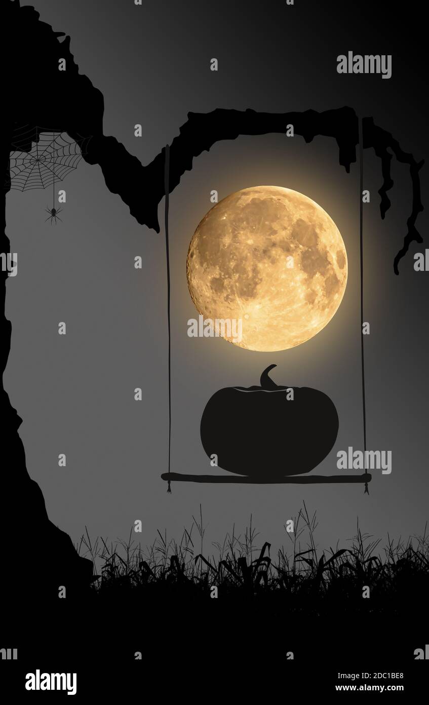 Halloween night background with moon, spider and pumpkin sitting on ...